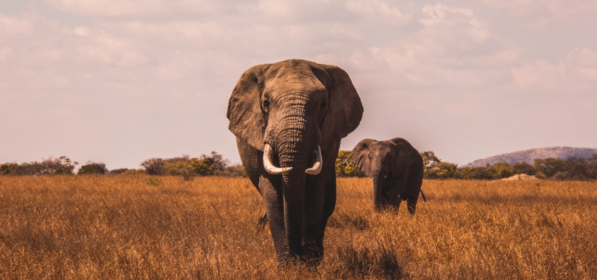 Adventure Travel: 13 Countries You Need to Visit if You Love Adventure ...